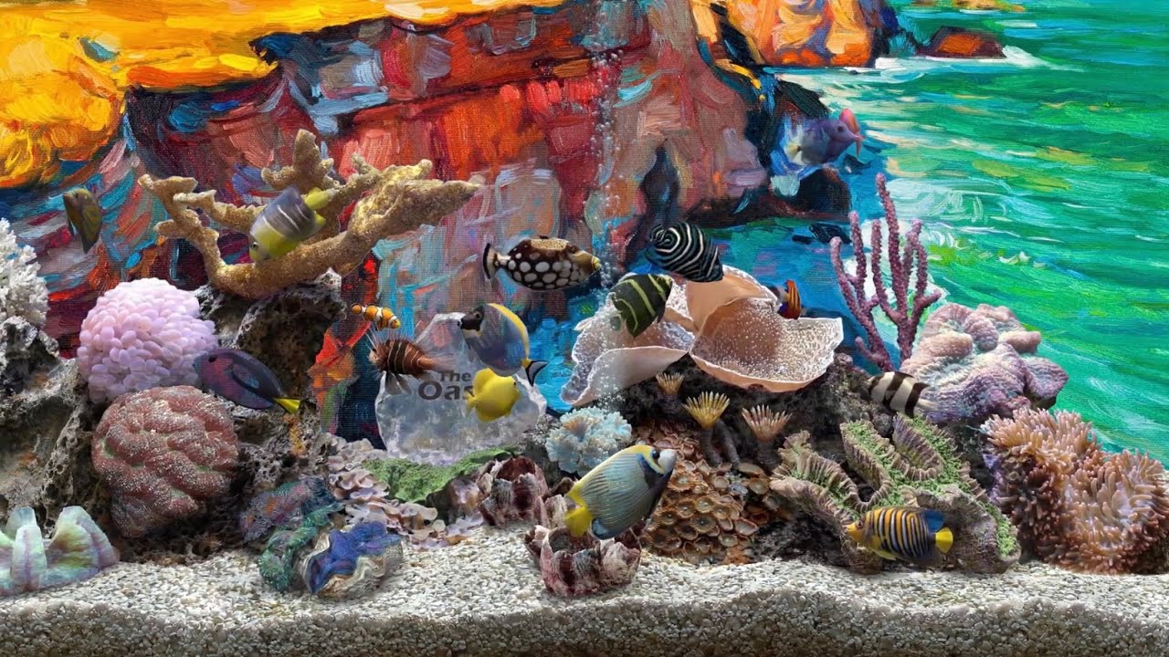 Aquatic Life: Ocean Art (4K UHD60) Slideshow Background Digital Fish ...