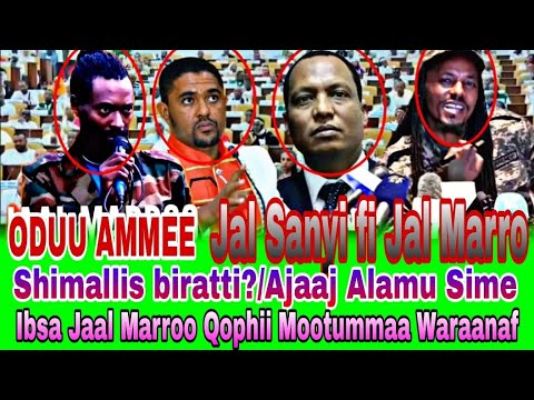 ODUU AMMEE Ibsa Jaal Marroo Qophii WBO Mootummaa Waraanaf Shimallis Fi ...