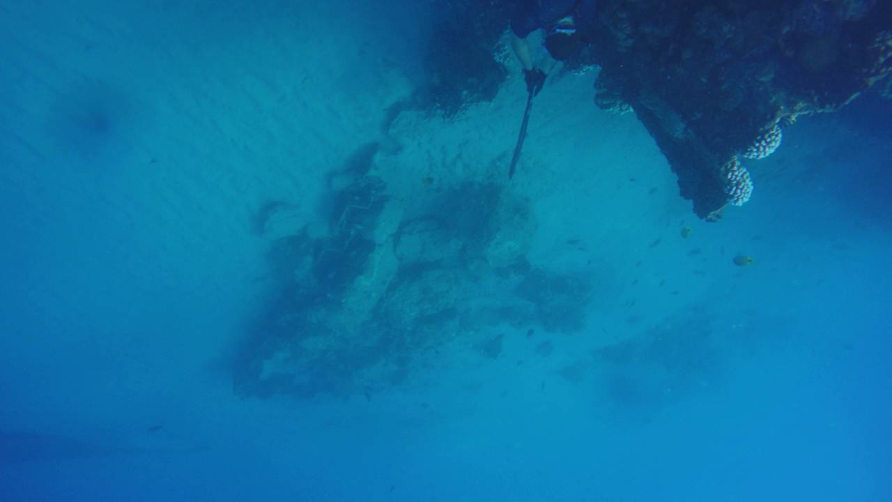 OAHU, HAWAII - Spearfishing Electric Beach Pipes - Oct 2015 - YouTube