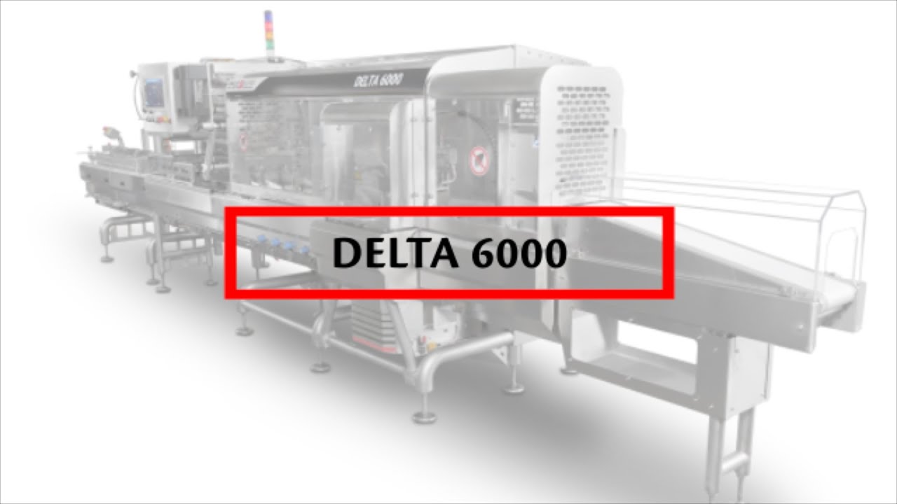 IMA Ilapak Delta 6000 flow wrapping machine - packaging of prewrapped ...