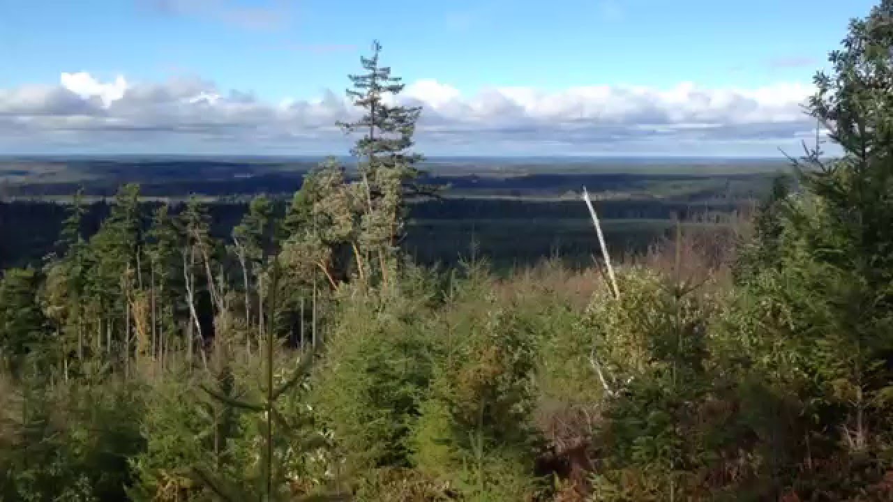 Hiking Eatonville's Pack Forest - YouTube