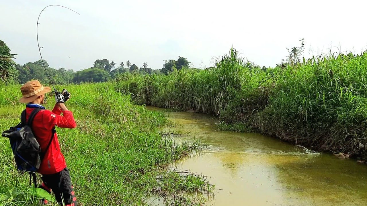 Casting Snakehead with Softfrog - YouTube