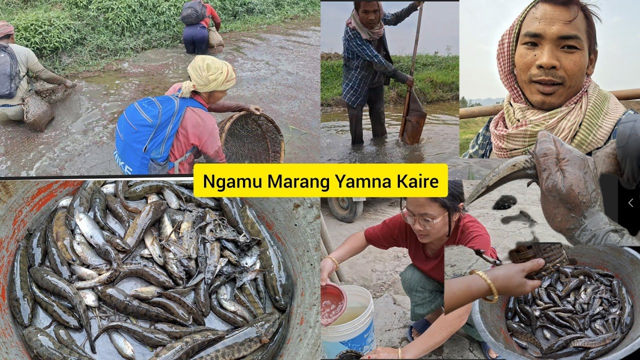 Ngamu Ngaktni Ngamu Yam Marang Kaire - YouTube