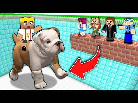 EFEKAN VE KÖPEĞİ ÇUKURUNA DÜŞERSEN ÖLÜRSÜN! 😱 - Minecraft ZENGİN FAKİR HAYATI