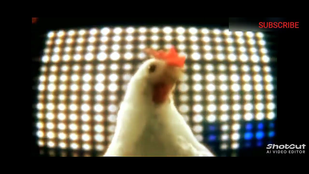 The chicken song 🐣🐤 - YouTube
