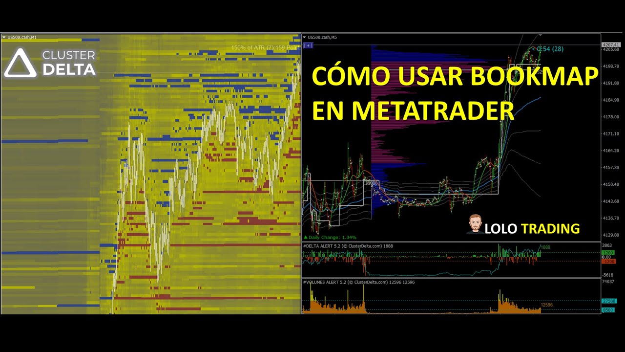 Cómo usar Bookmap en Metatrader - YouTube