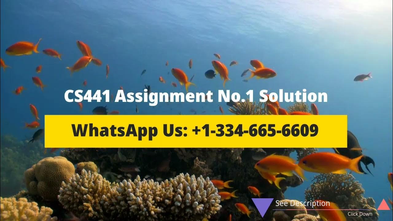 CS441 Assignment No. 1 Solution Spring 2023 - YouTube