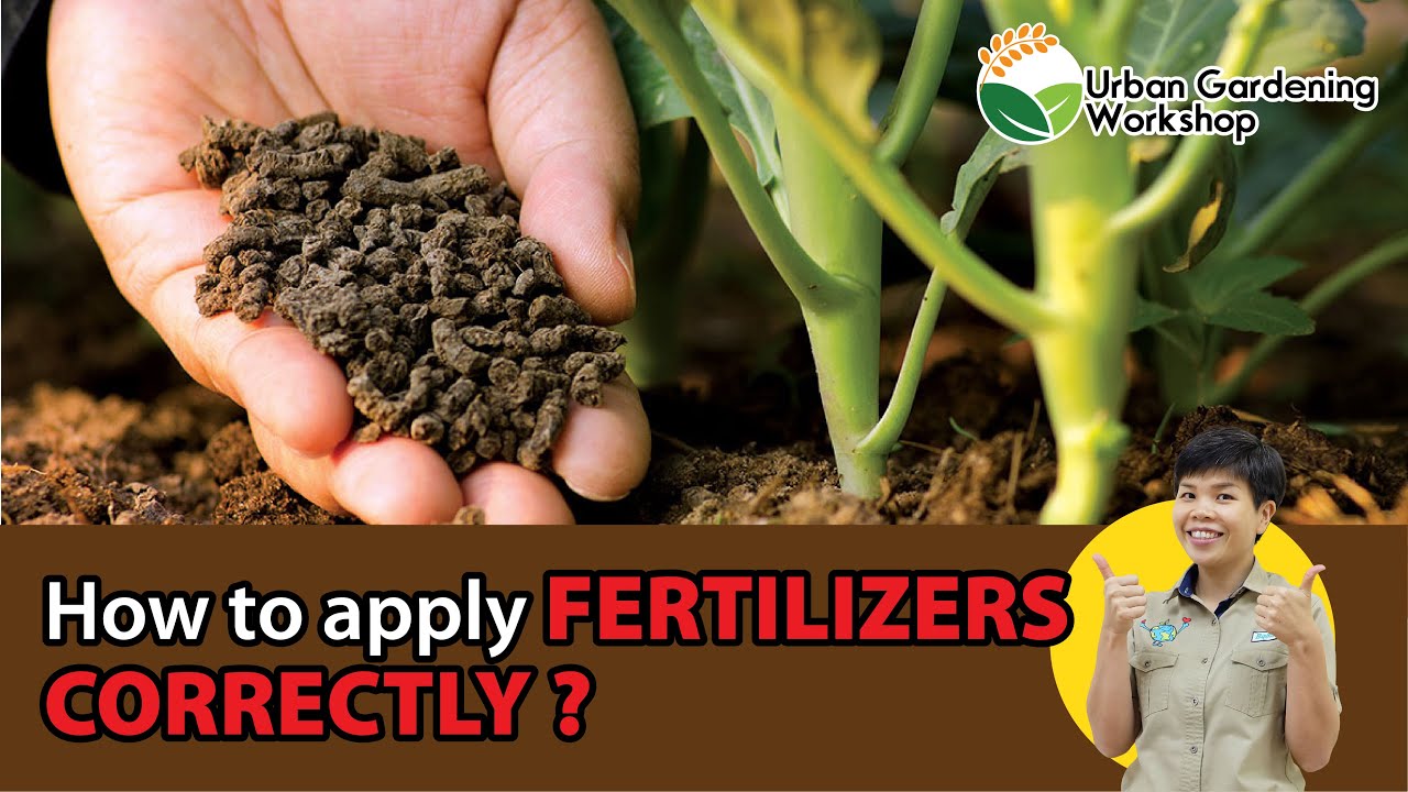 【Fertilization】How to Apply Fertilizers Correctly to Your Plants ...