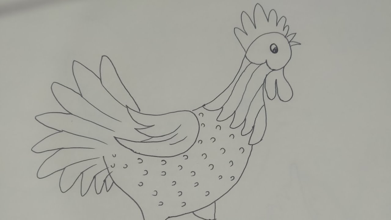 How to draw cock easy - YouTube
