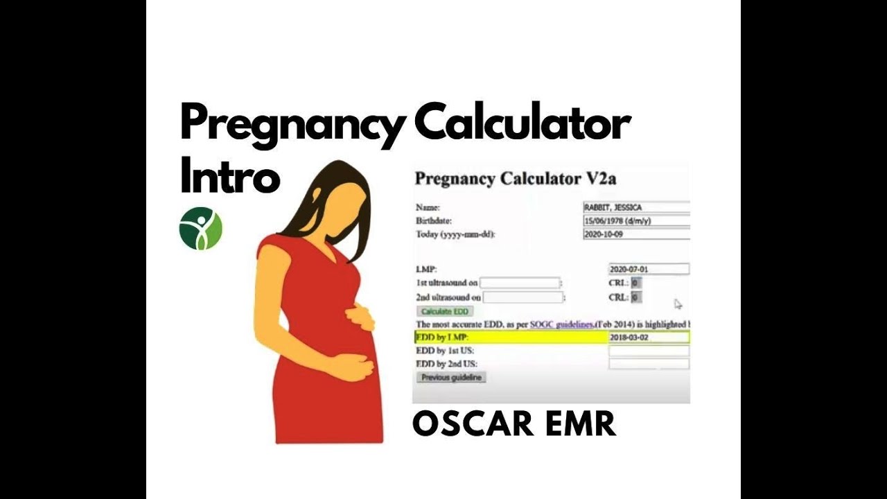 Pregnancy Calculator Intro - YouTube