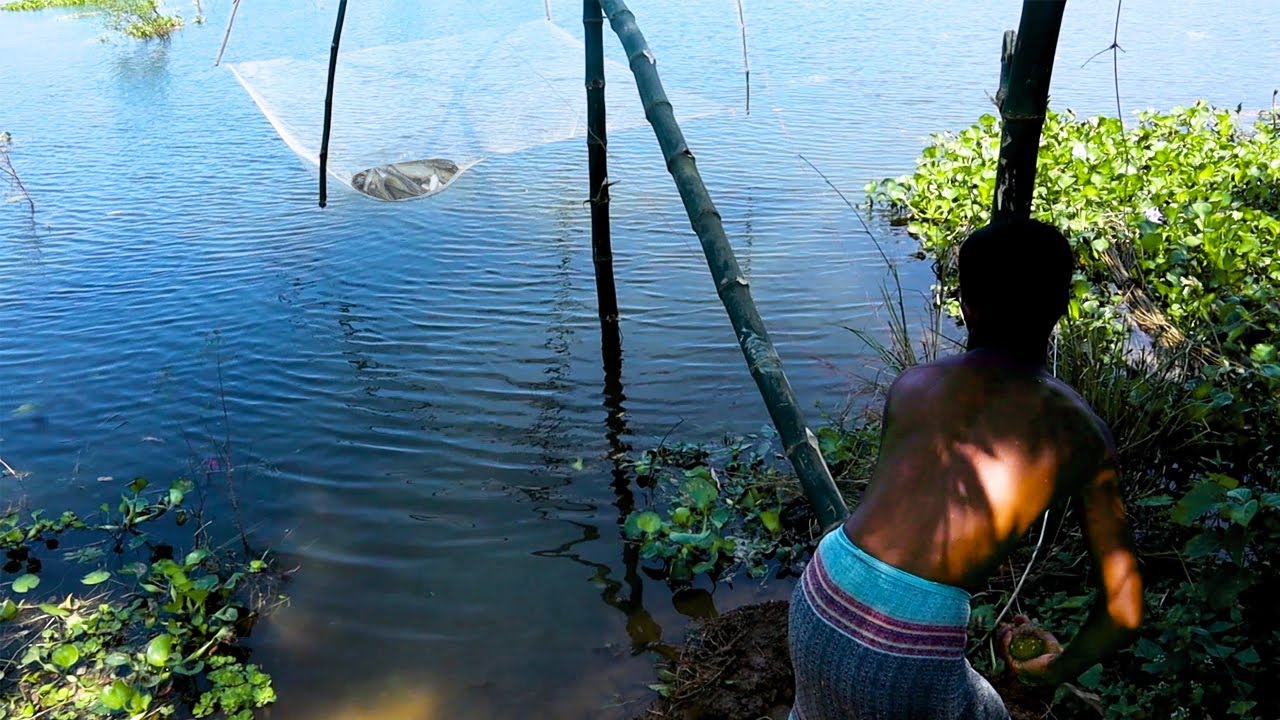 Khora Net Fishing Video | Catch Lots Of Fish in big water hole | net ...