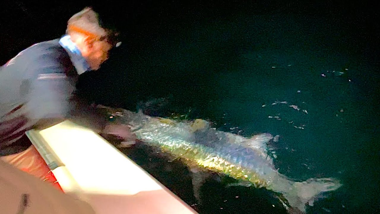 120 Pound TARPON in Miami Beach Florida (Biggest Fish I've Ever Caught ...