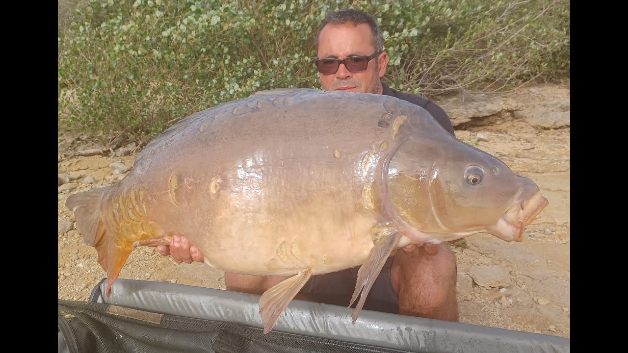 Pèche à la carpe Dream carpfishing sur un grand lac du sud de la France ...
