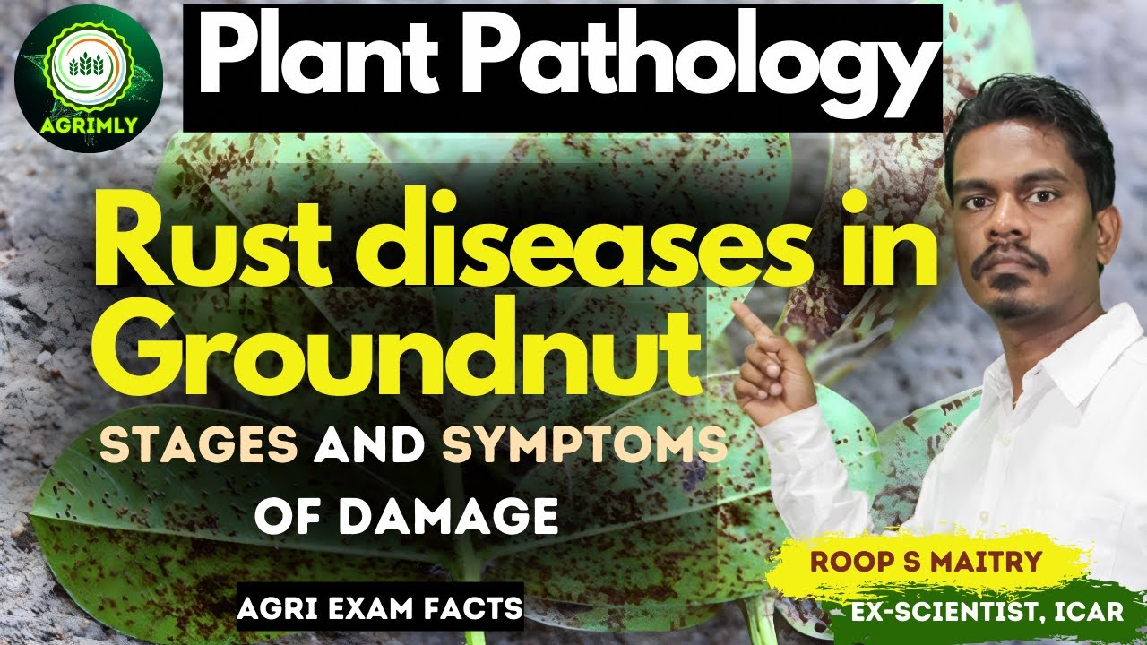 Rust disease of Groundnut // All Agri Exam like IBPS NABARD ICAR CUET ...