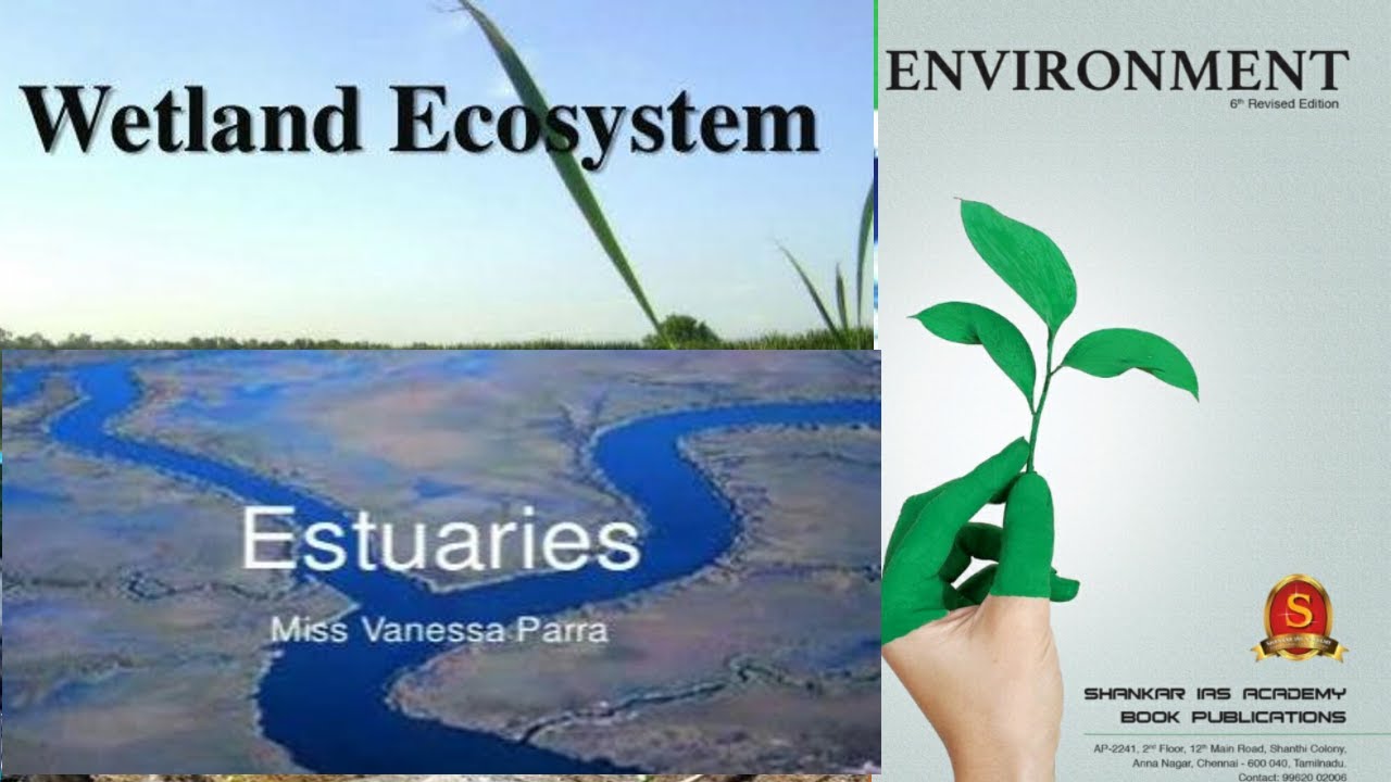 L-45: WETLAND AND ESTUARIES By Shankar Ias Academy:UPSC/STATE_PSC/SSC ...