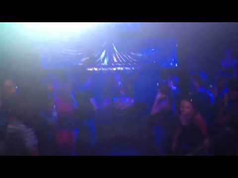 Darine Stern - YouTube
