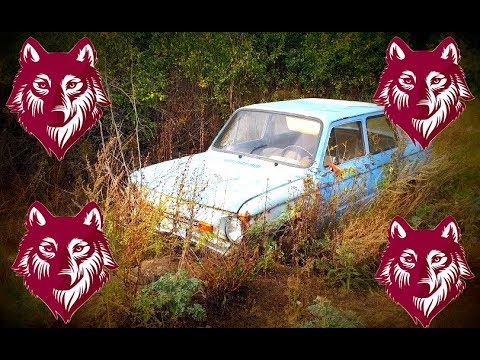 ТАМ ГДЕ ВОЛКИ СРАТЬ БОЯТСЯ "Слёт осень 2019" - YouTube