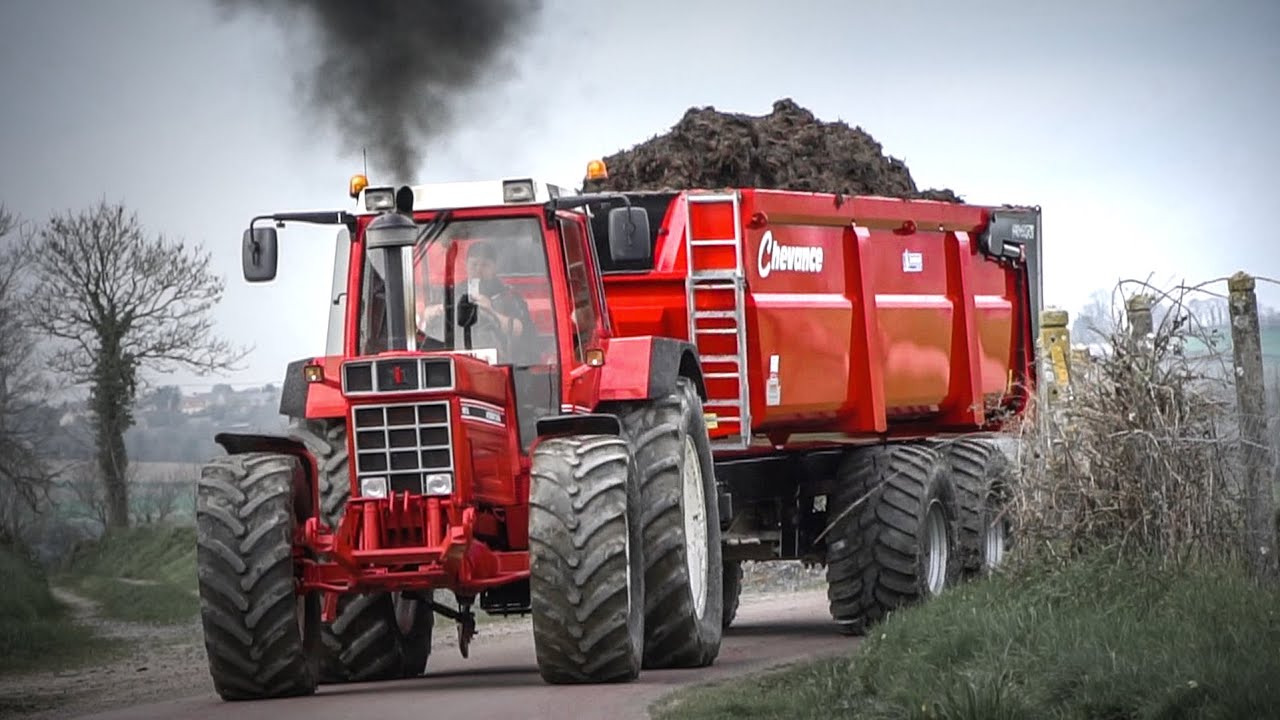 IH 1455XL + CHEVANCE - Transport de fumier/manure - YouTube