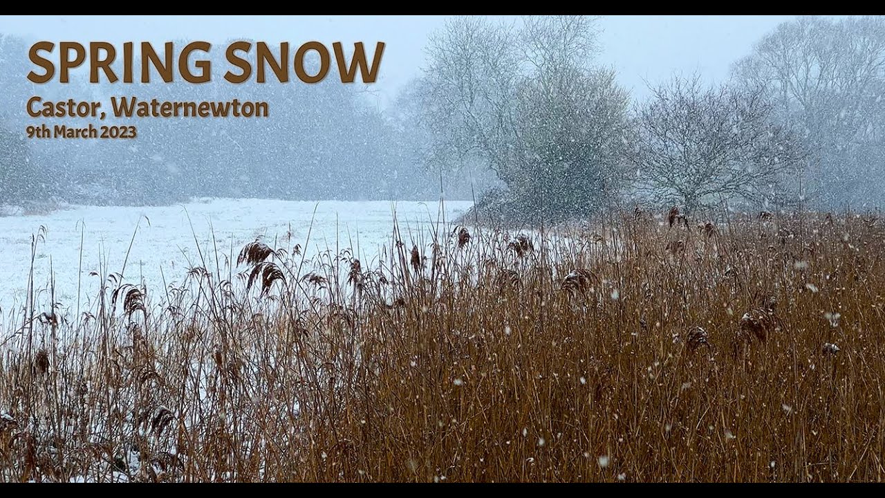 Spring Snow - March 2023 - YouTube