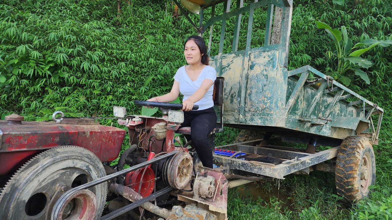 Agricultural vehicles transport timber, dig up large tree stumps and ...