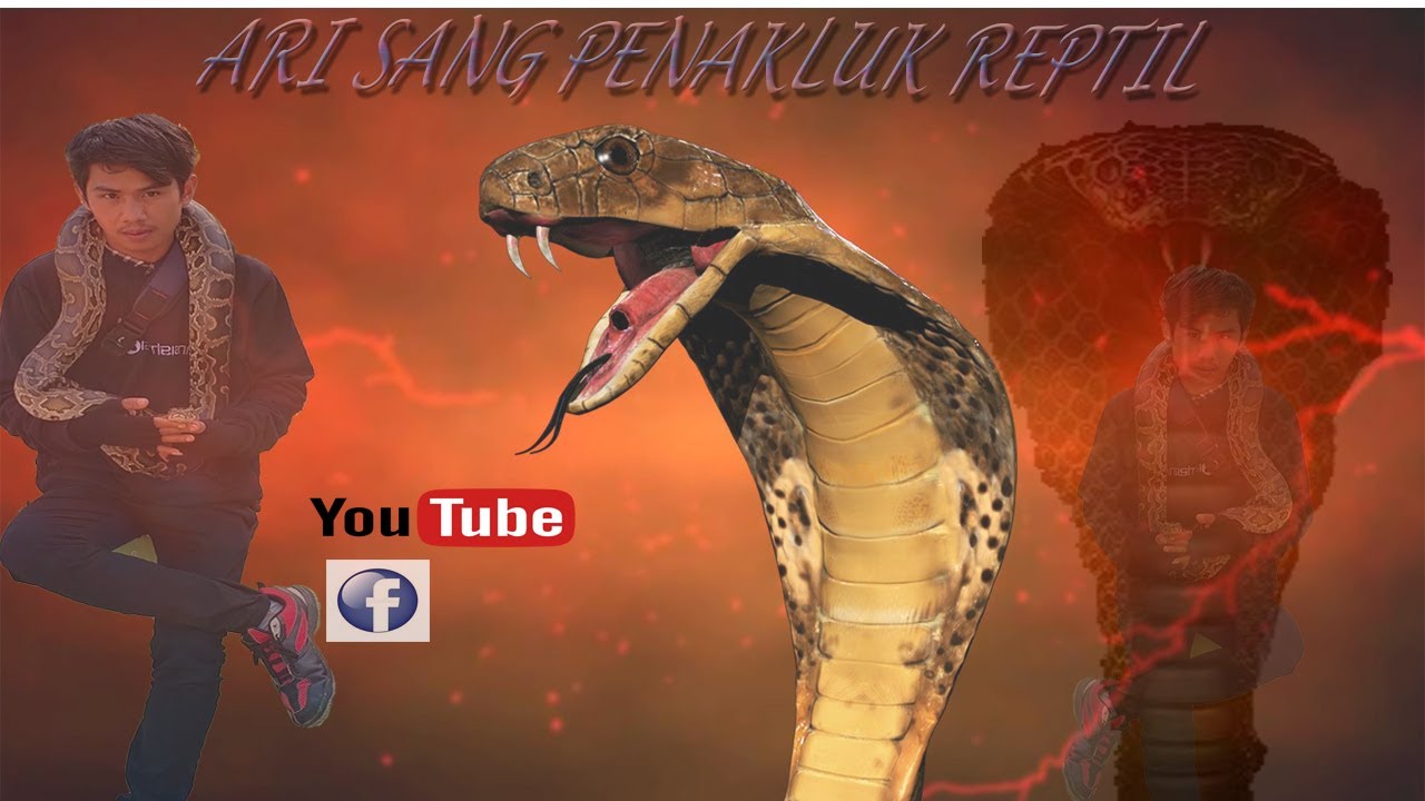 Pawang Ular - YouTube