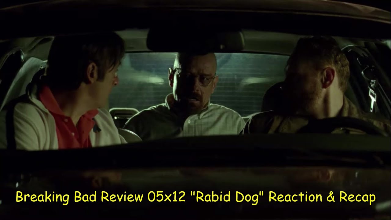 Breaking Bad Review 05x12 "Rabid Dog" Reaction & Recap - YouTube