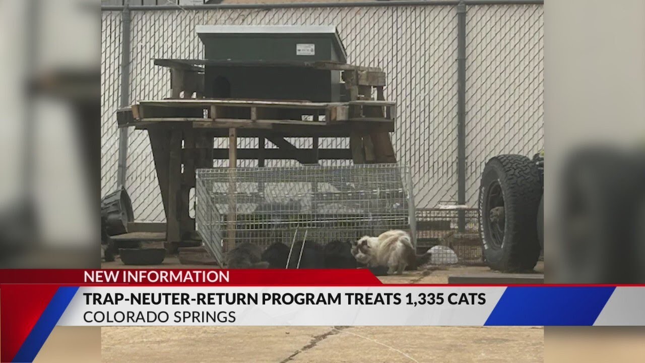 HSPPR Trap-Neuter-Return program treats 1,335 cats - YouTube