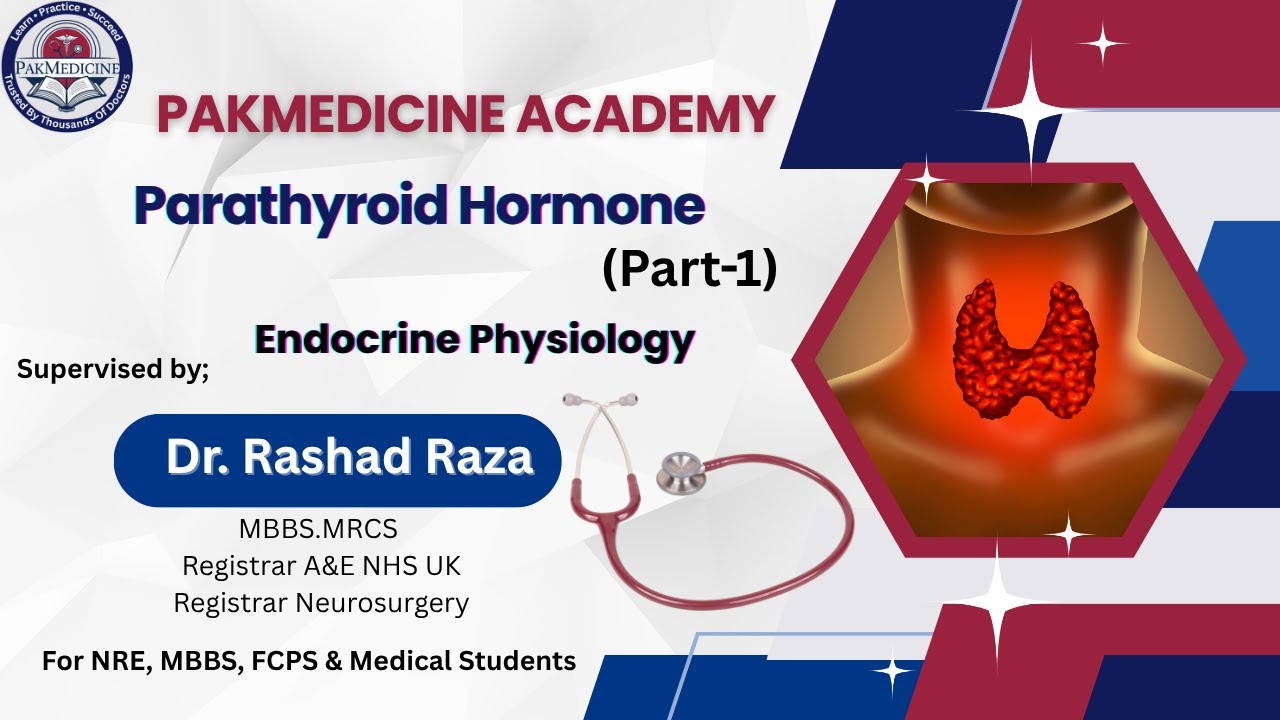 Parathyroid Hormone Part 1 | Endocrine Physiology | First Aid for NRE ...