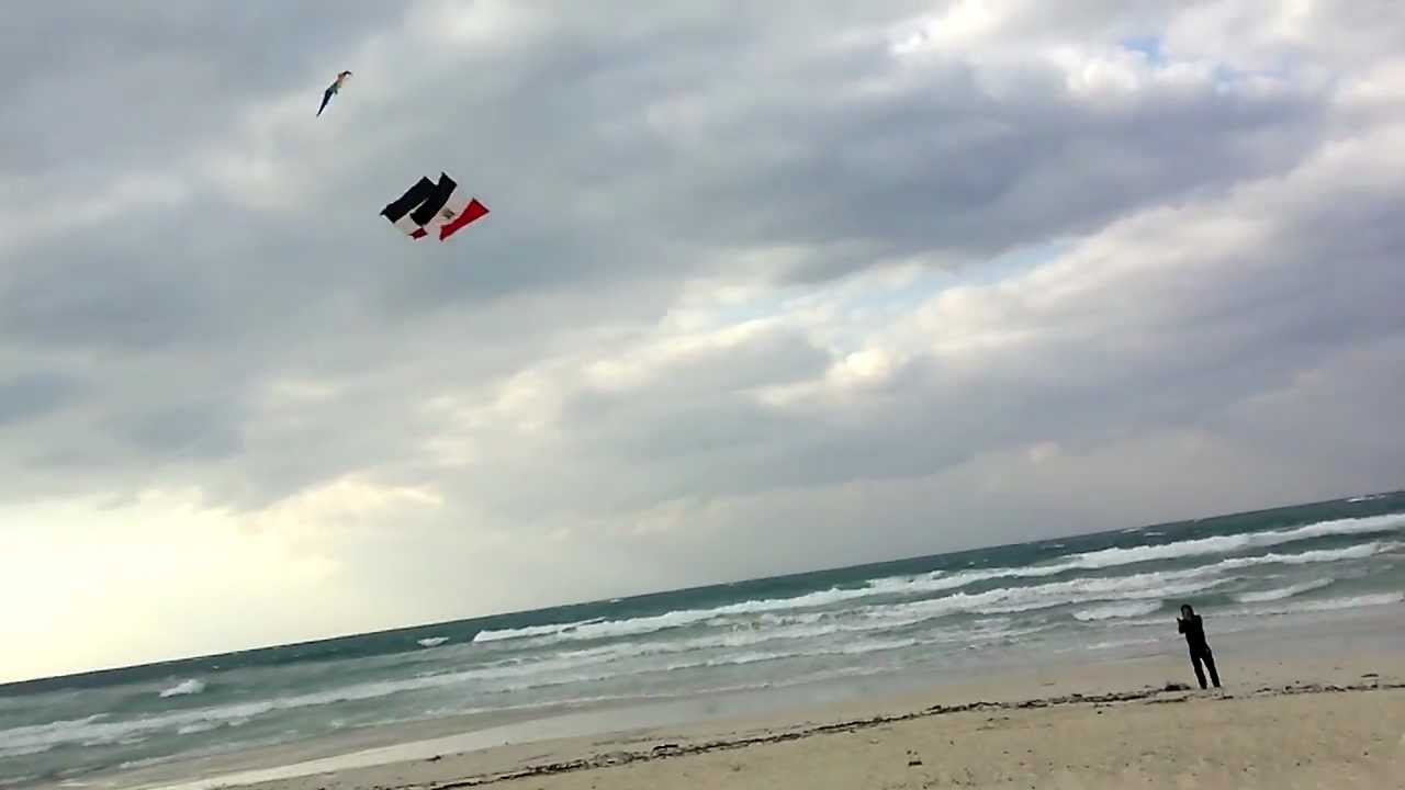Flying Egypt's flag using stunt kite at Agami beach Alexandria(3).mp4 ...