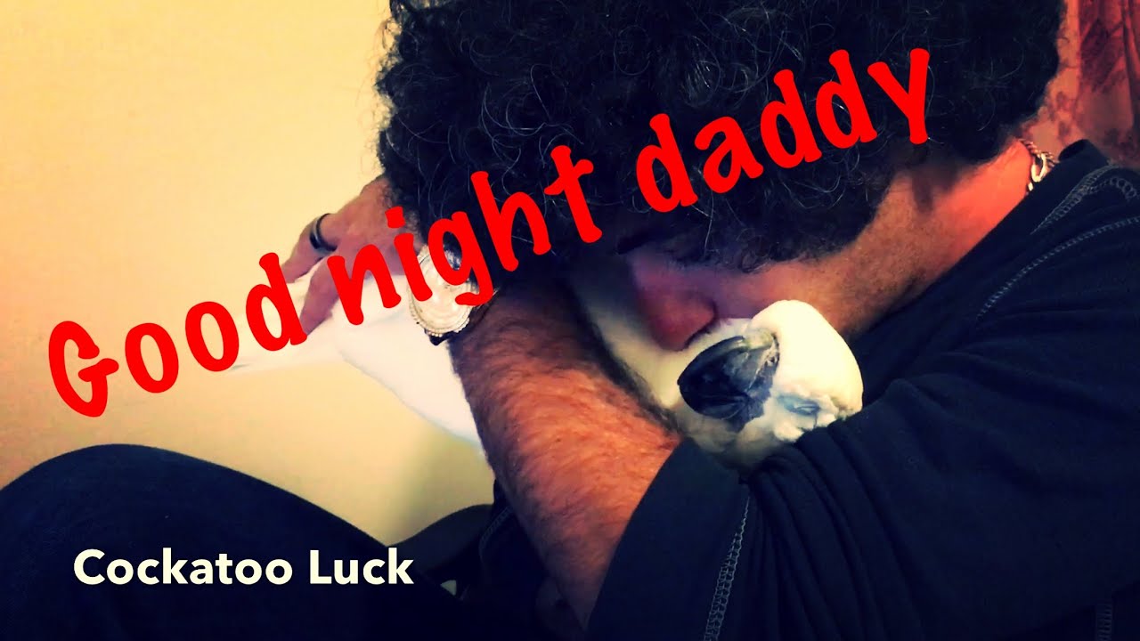 Came to say good night Daddy😘 - YouTube