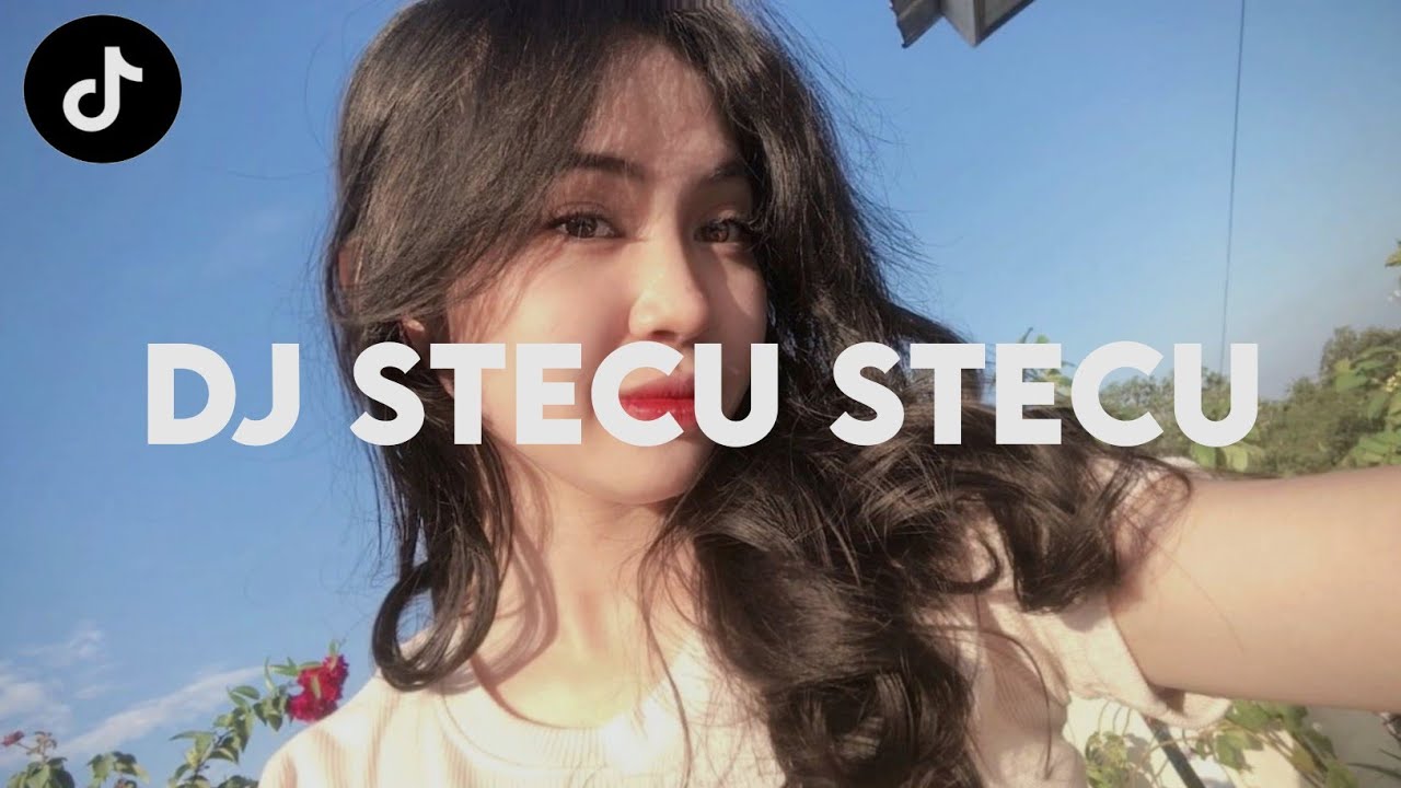 DJ STECU STECU STELAN CUEK BARU MALU || DJ STECU FARIS ADAM VIRAL TIKTOK TERBARU 2025 - YouTube
