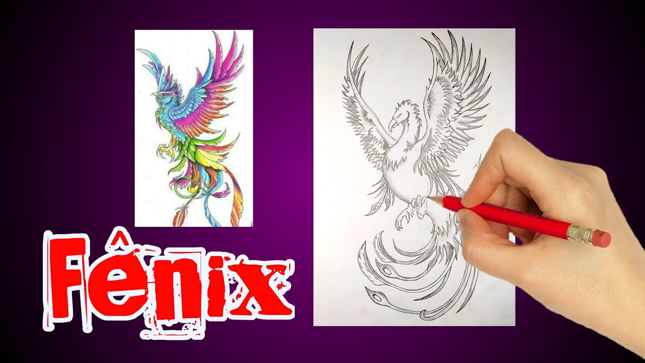 Como desenhar Fênix fácil. Cómo dibujar Fénix fácil. How to draw ...