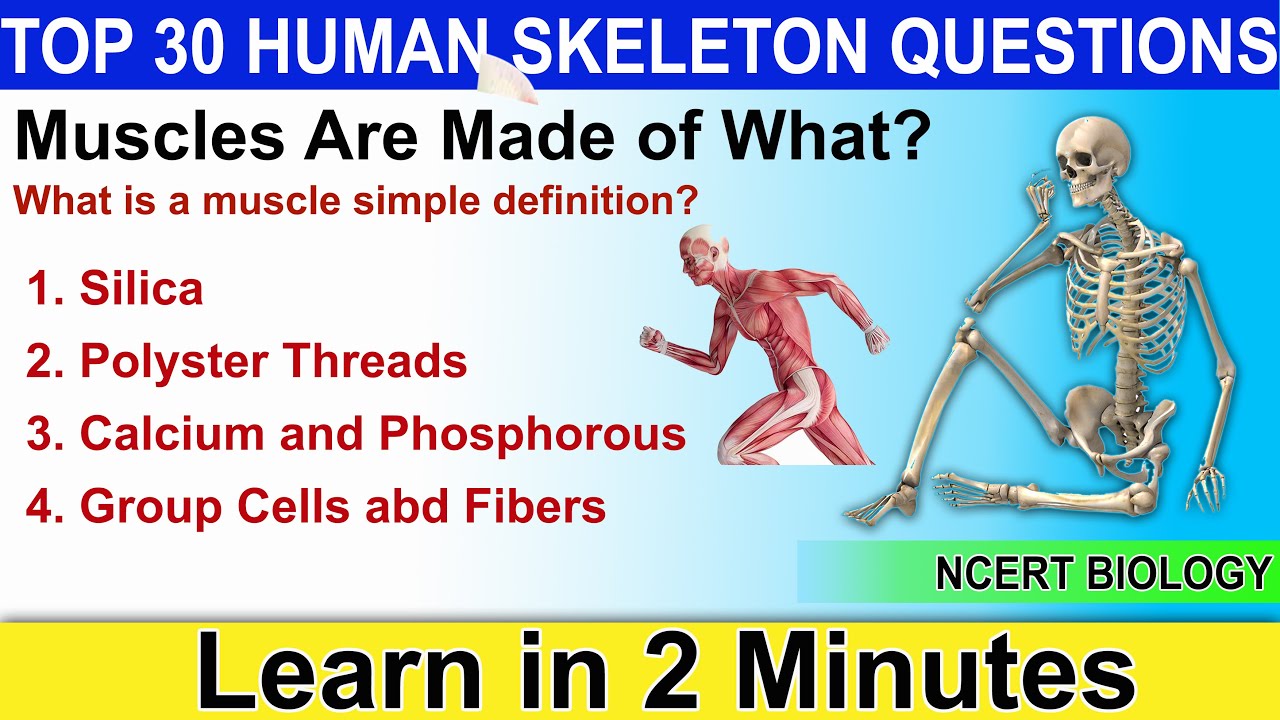 Muscles Are Made of What? | What is Muscle? Explained in 2 minutes |# ...