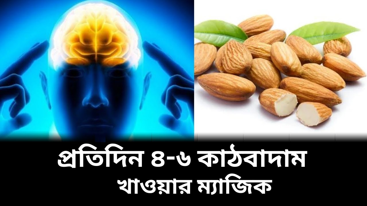 সকালে ৪টি কাঠবাদাম খাওয়ার আশ্চর্যজনক উপকারিতা | general knowledge ...