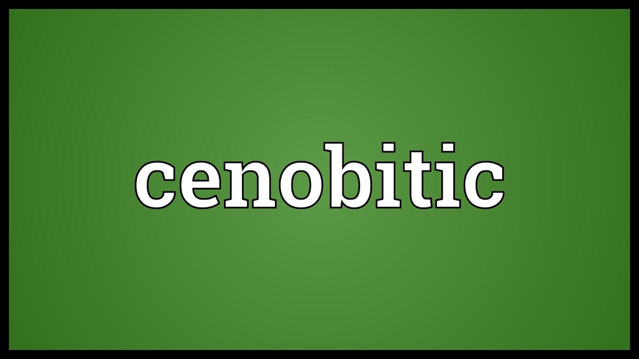 Cenobitic Meaning - YouTube