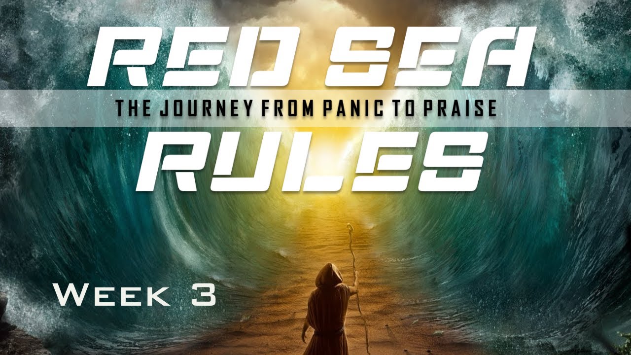 Red Sea Rules Week 3 - YouTube