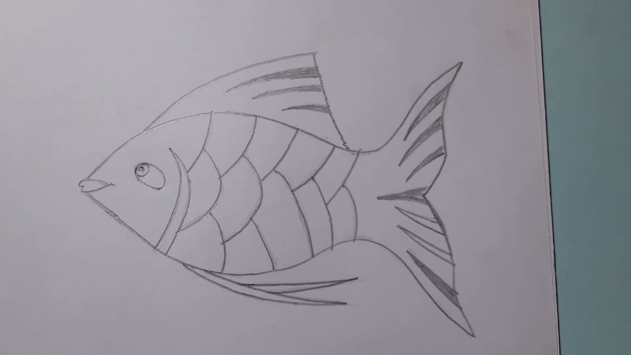 How to Draw a Fish Step by Step | How to Draw Fish For Beginners (very ...
