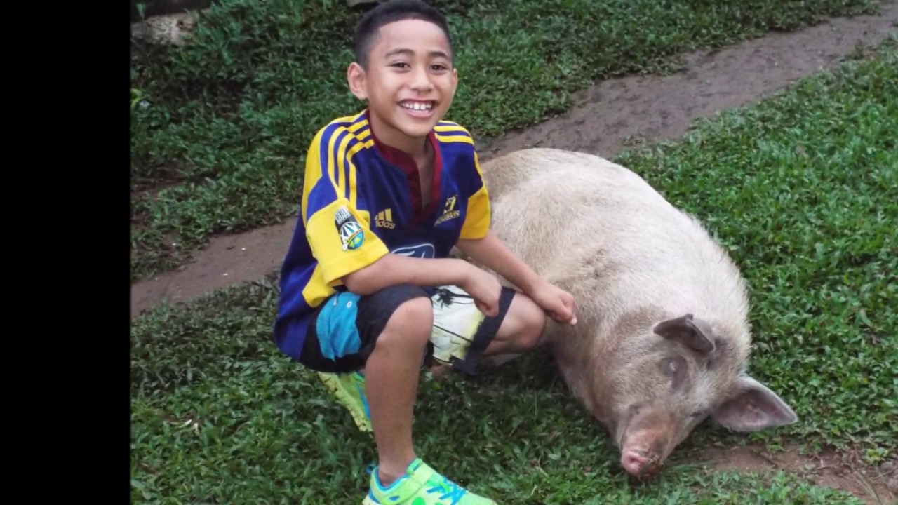 Samoa | Siufaga, Falelatai / Lotoso'a, Saleimoa | - YouTube