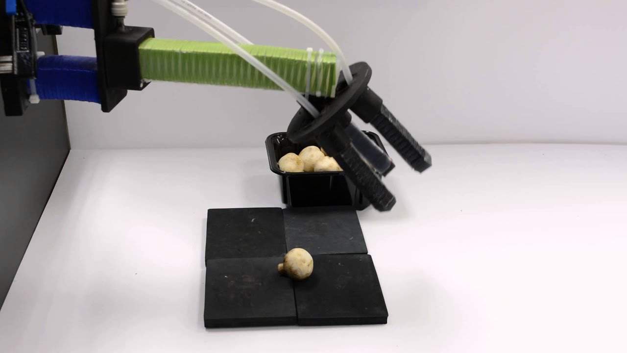 Horizontal Arm Black Edition - YouTube