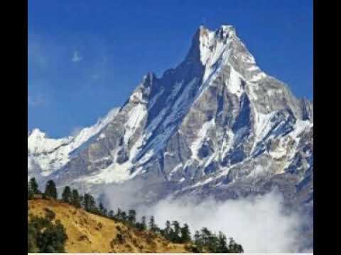 Pozitiv düşüncə🌷