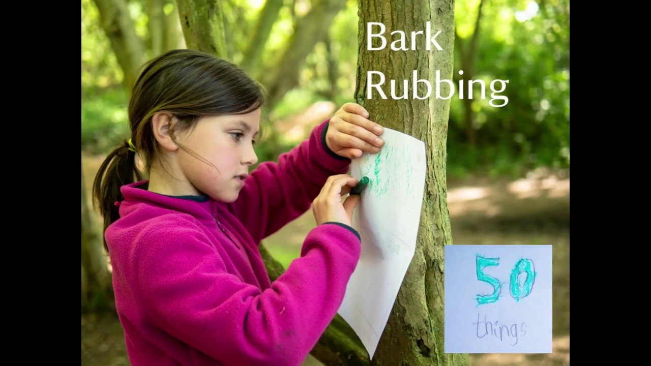 Bark Rubbing - YouTube