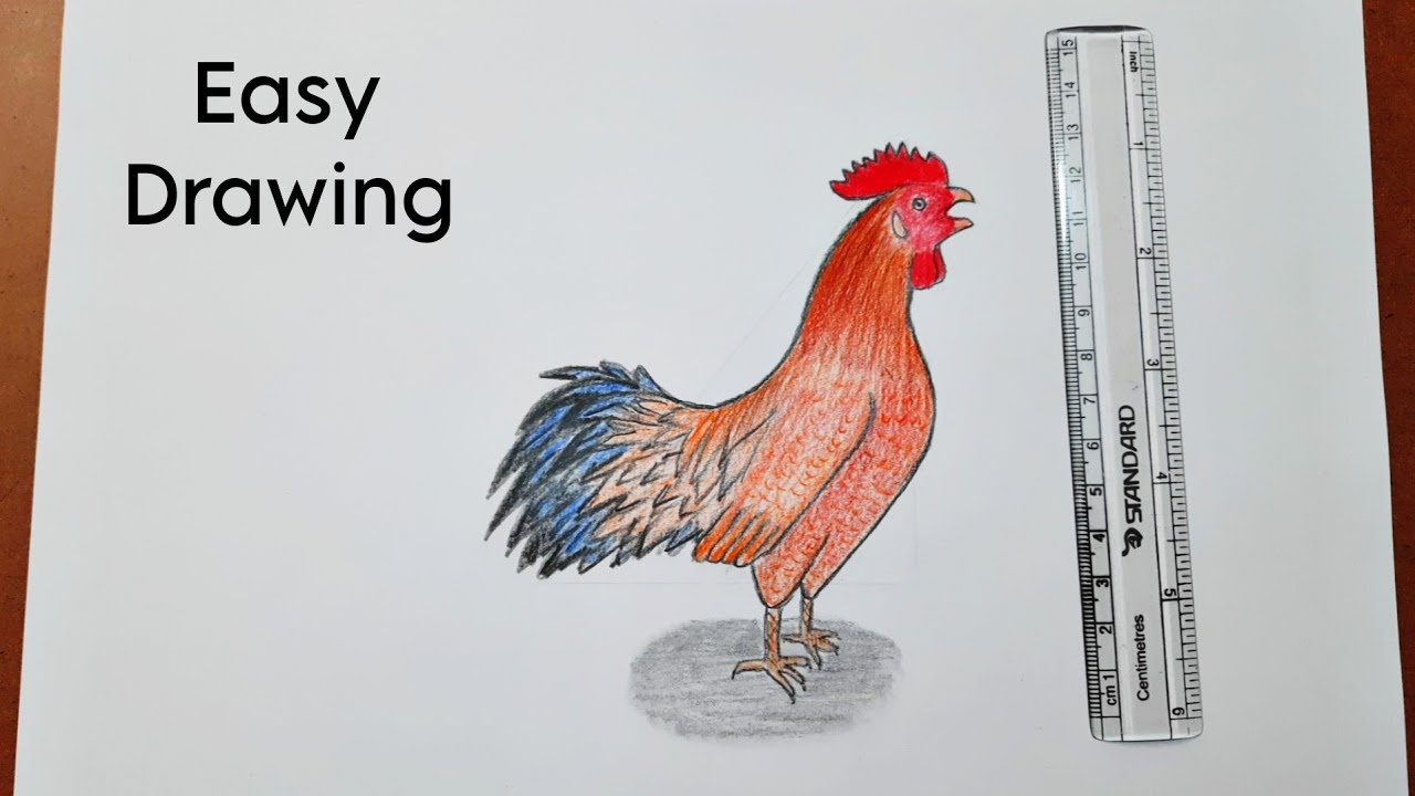 How To Draw Cock Step By Step || Easy Simple Draw Cock || Easy Cock Drawing || Easy Cock Drawing ...