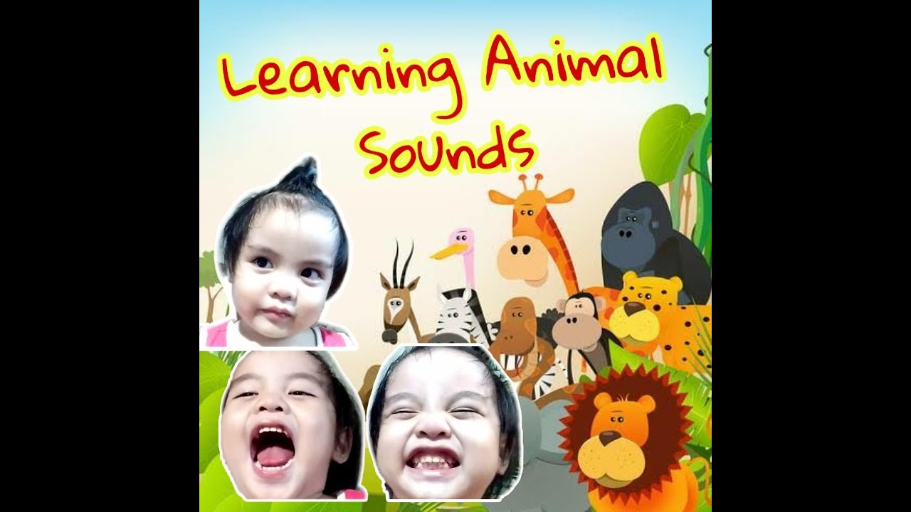 Learning Animal Sounds (and some Animal Movements) with 2-year old Baby ...