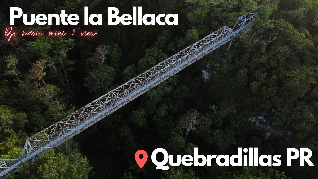 Bellacas De Puerto Rico