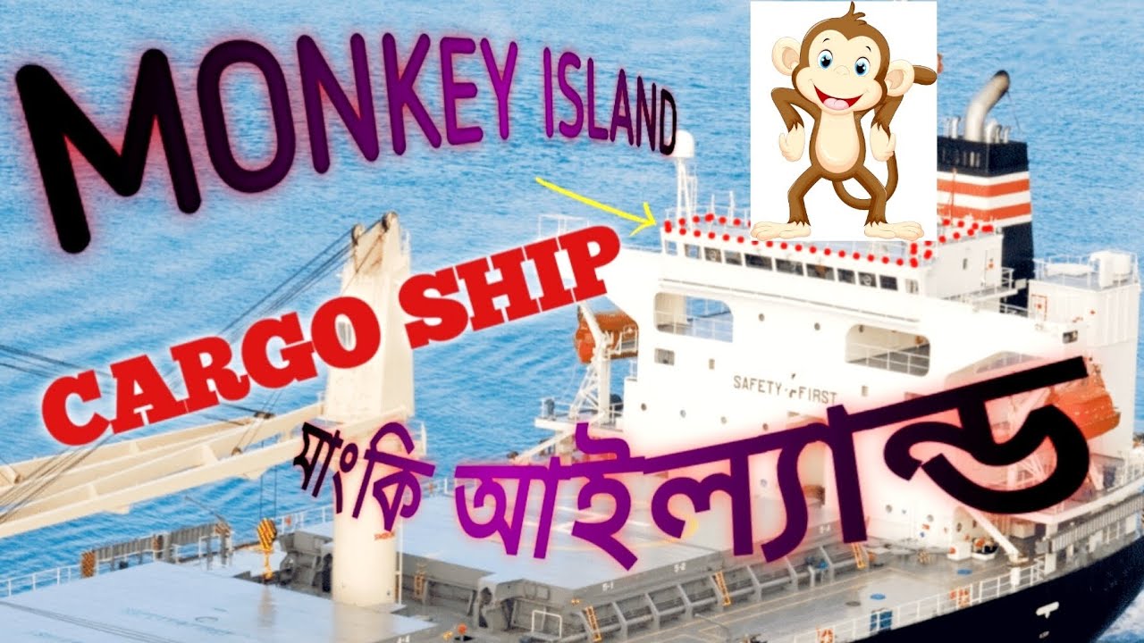 Monkey Island of a Cargo Ship/কার্গো জাহাজের মাংকি আইল্যান্ড কেমন দেখতে ...