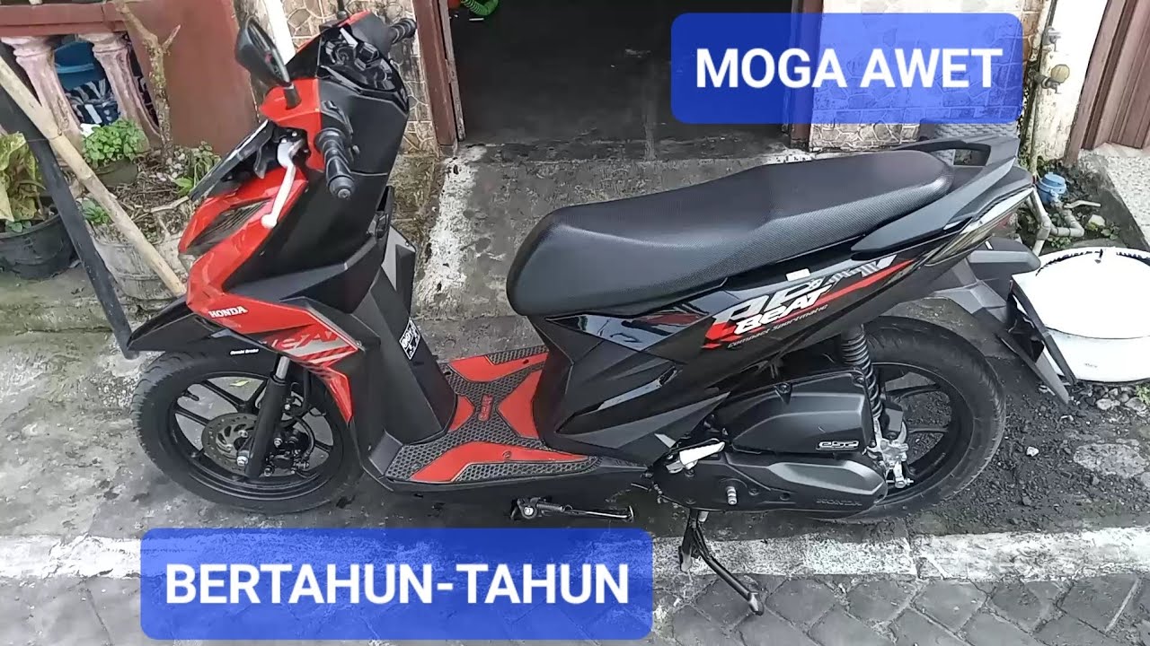 Cara Merawat Beat ESAF - YouTube