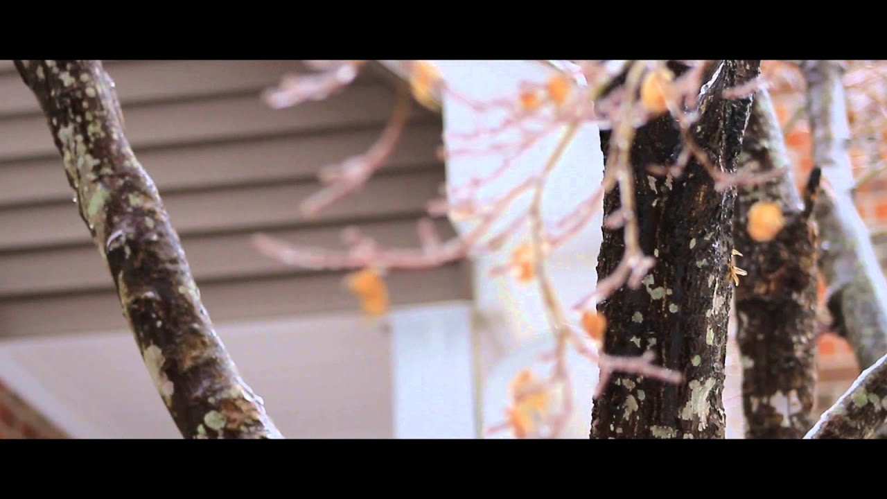 Snow Cinematic - YouTube