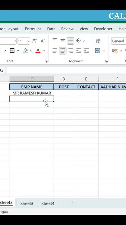 Data Validation Hacks | Never Seen Before | Advance Excel Tips & Tricks - YouTube