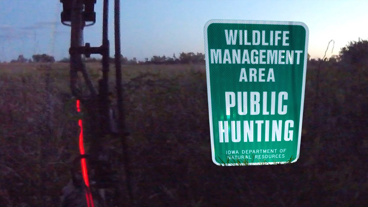 DEER DOWN ON PUBLIC LAND!! Hunting Opening Week of Iowa Archery - YouTube