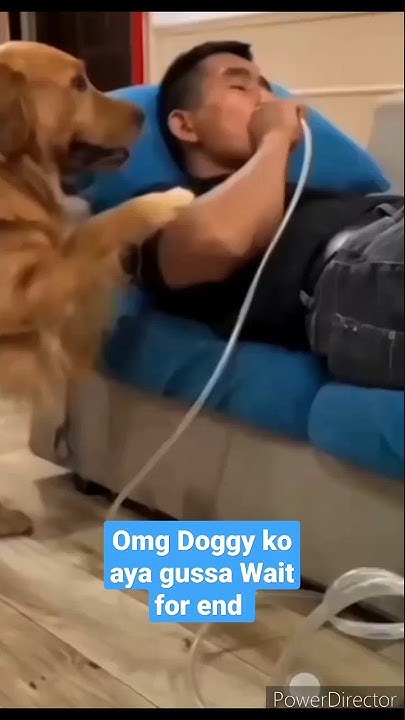 doggy ko Aya gussa🤣😉😃🤪 #shortsfeed #viralshort funny 🤣🤣 funny shorts - YouTube
